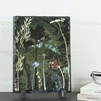 Art Prints, Slates, Greetings Cards & Posters | Gillian Arnold